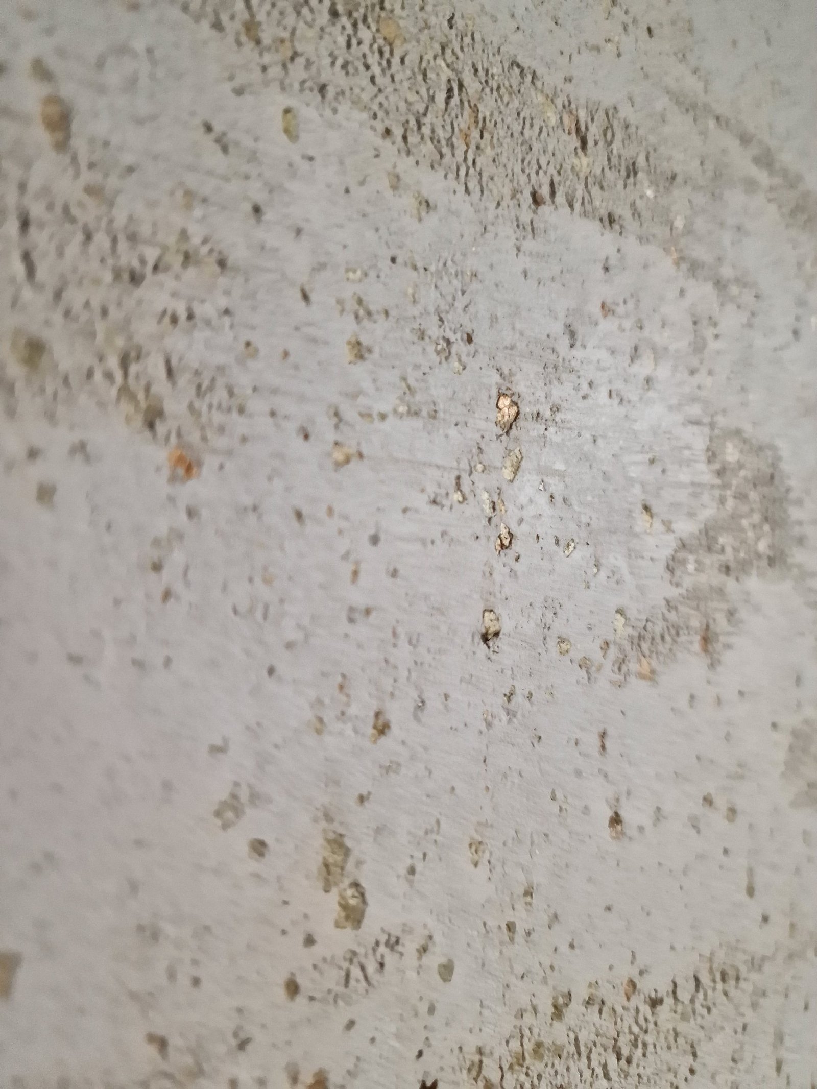 Travertino Venetian Plaster Brisbane | Avenza Surface Design